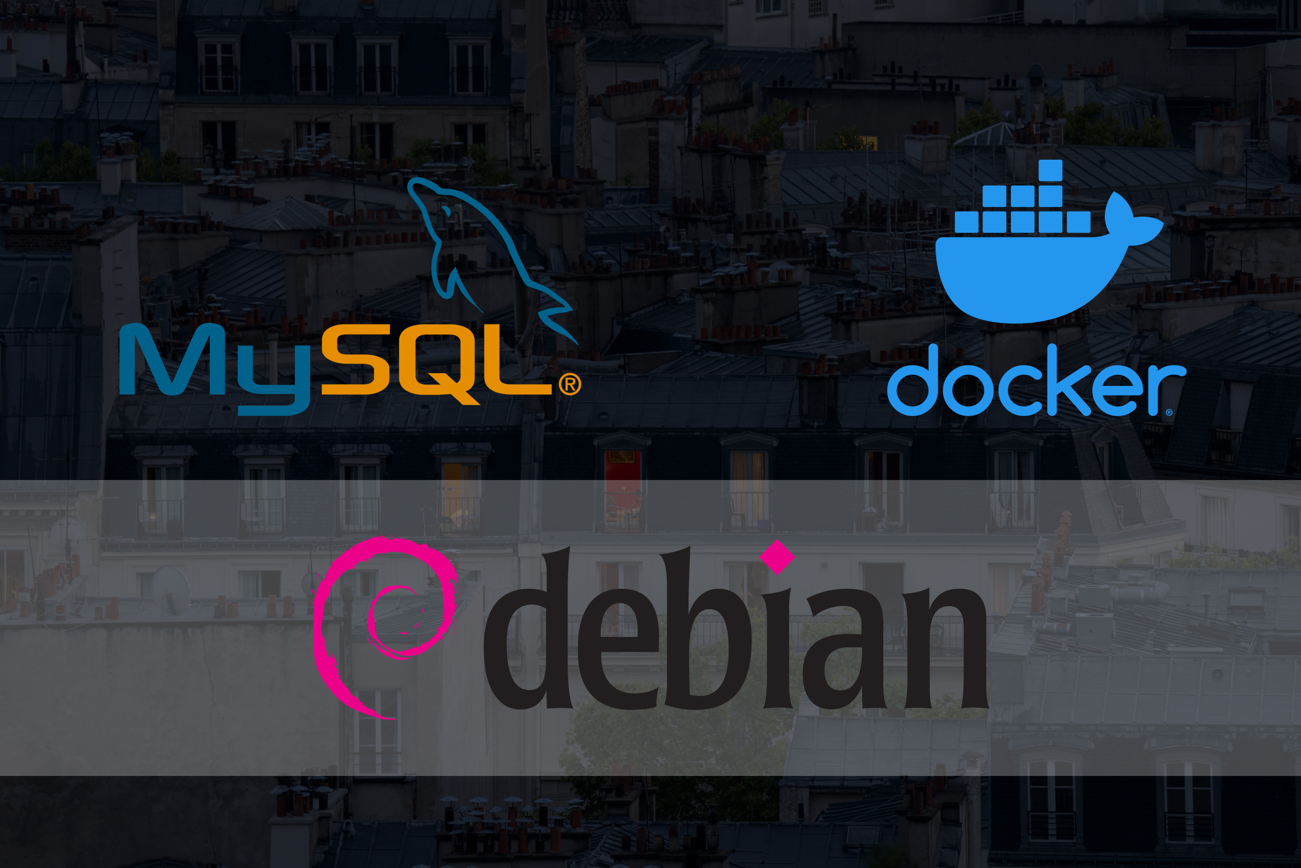 Установка Mysql в Debian используя Docker — Дневник Web разработчика 0113